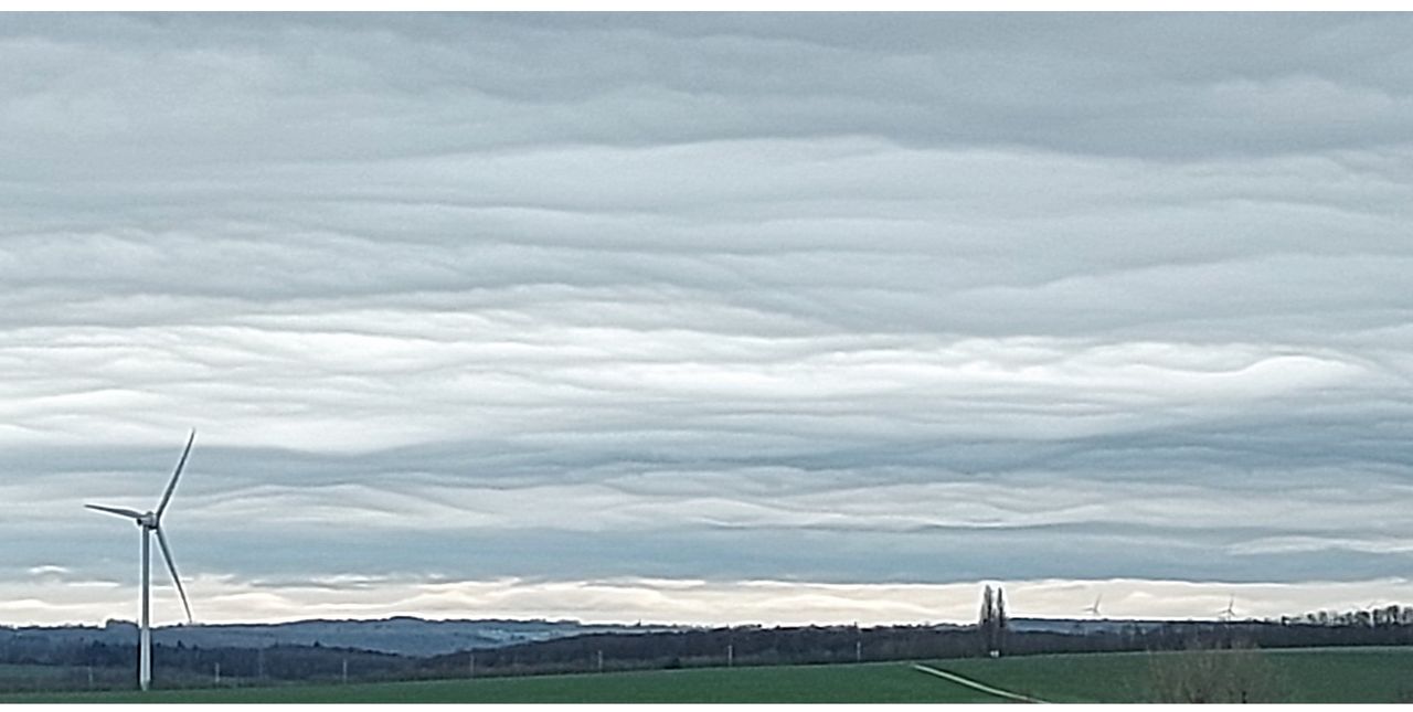 Météo en Belgique - Bilan climatologique de décembre 2025 : encore un ...